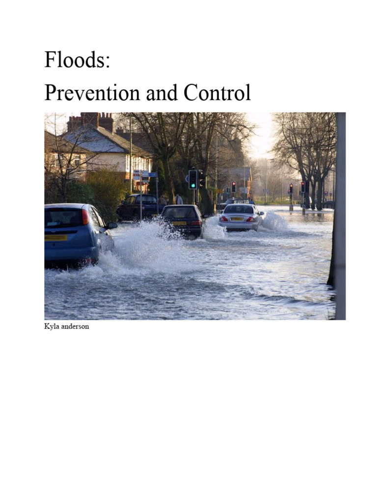 white paper final | PDF | Flood | Flood Control