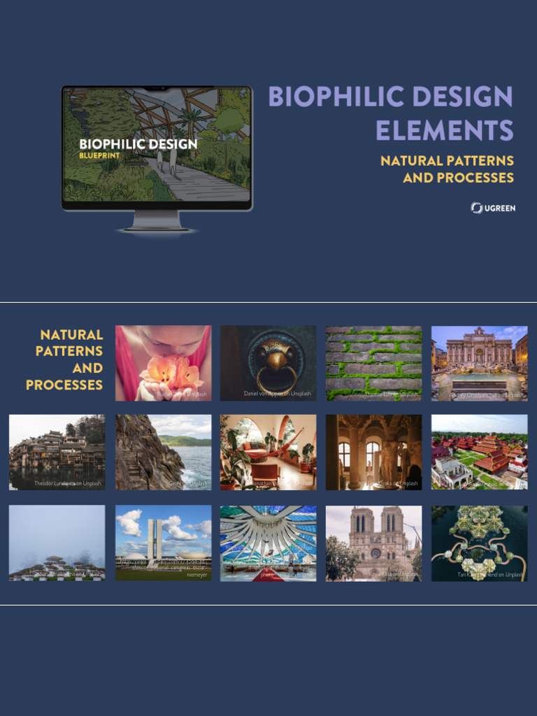 Natural Patterns and Processes | PDF | Fractal | Nature