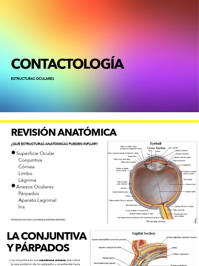 T1-Estructuras Implicadas Contacto | PDF | Córnea | Epitelio