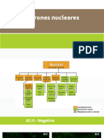 Patrones de ANA e interpretación clínica | PDF