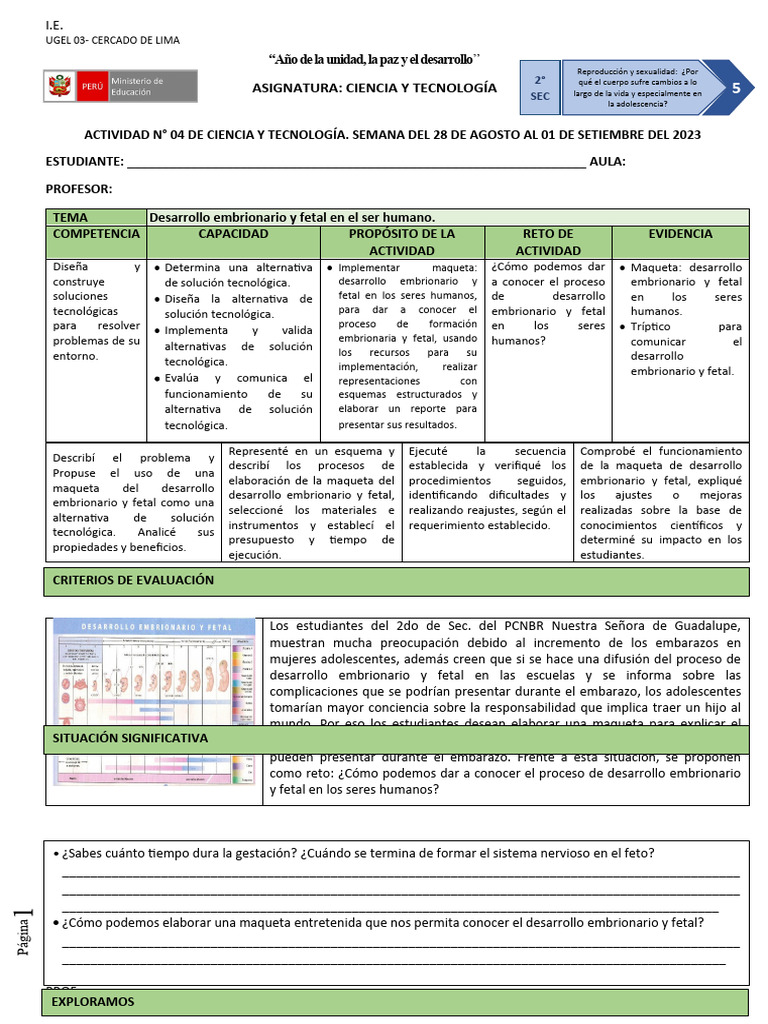 2° SEC. EDA 5 SEMANA 4 Diseña CYT 2023 Desarrollo Embrionario y Fetal en El Ser Humano | PDF ...