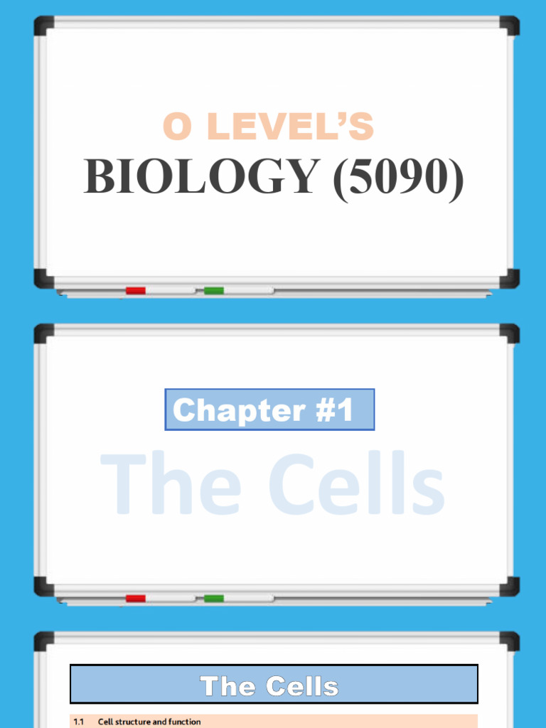 O Level'S: BIOLOGY (5090) | PDF | Cell (Biology) | Cytoplasm