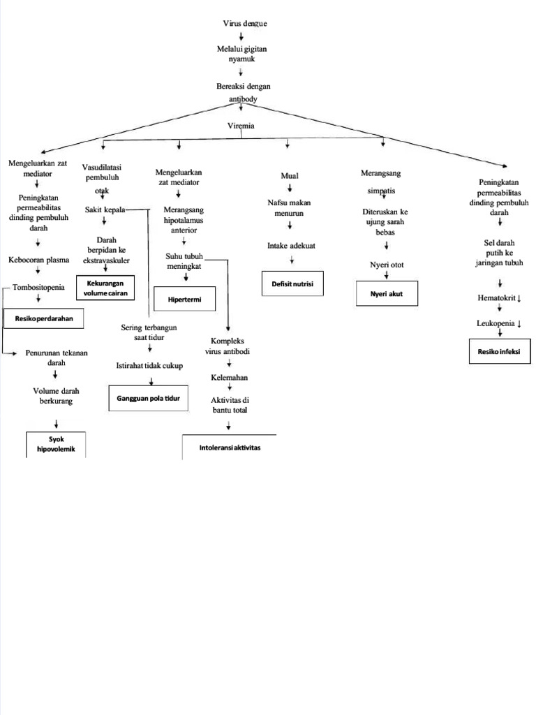 Pdf Pathway Dhf 1 Compress Pdf