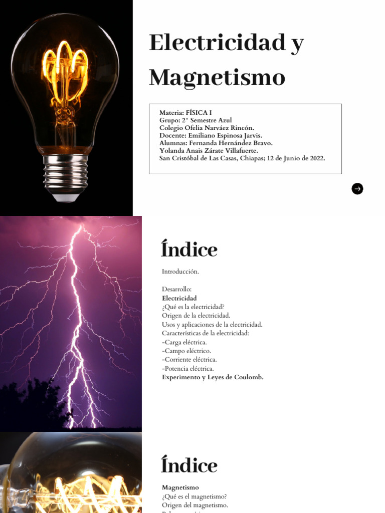 Electricidad y Magnetismo | PDF | Electricidad | Electromagnetismo