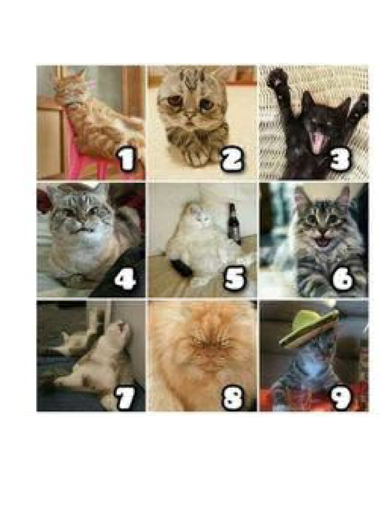 Como Te Sientes | PDF