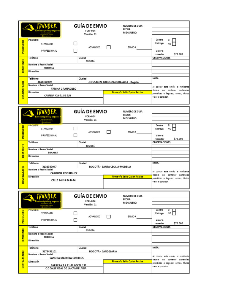 Formato #02 Guía de envío V.2 | PDF