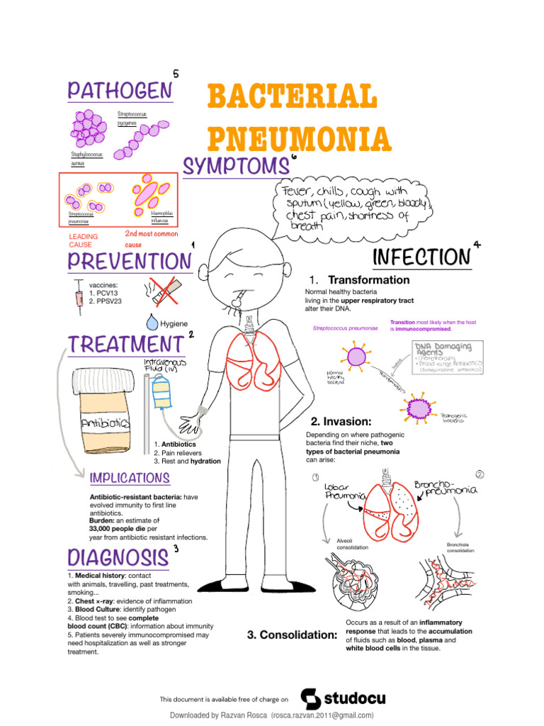 bfhajhgcterial-pnfeufmjgonia-poster | PDF | Pneumonia | Pathogen