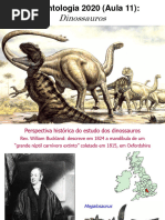 Mesossauros: História e Morfologia | PDF | Mar | Dente