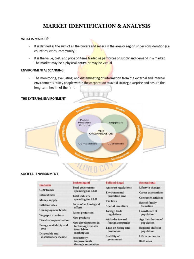 MARKET IDENTIFICATION & ANALYSIS | PDF | Market Segmentation | Marketing