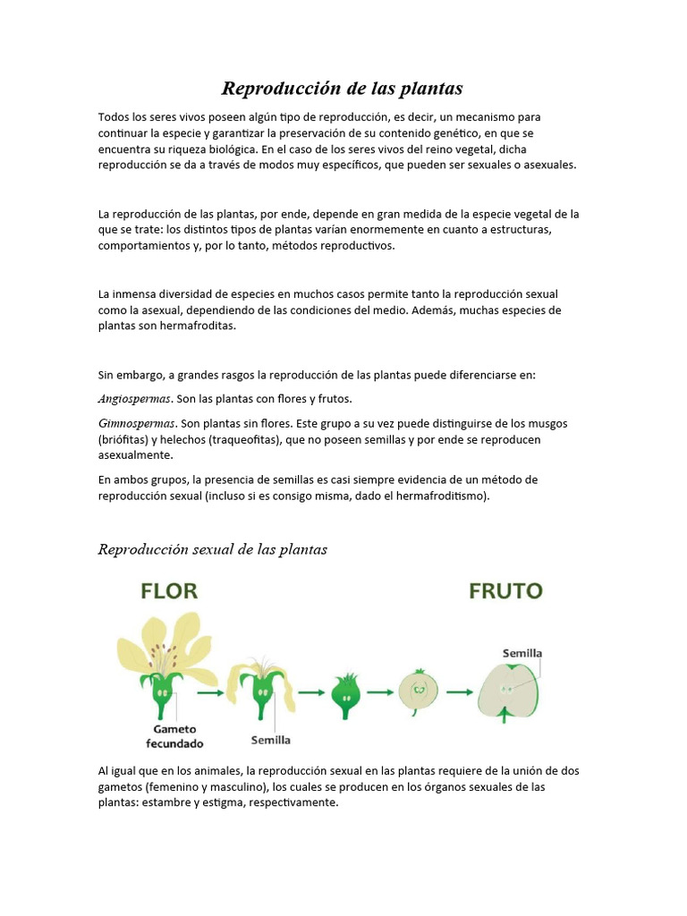 Reproducción de Las Plantas | PDF | Plantas | Sexo