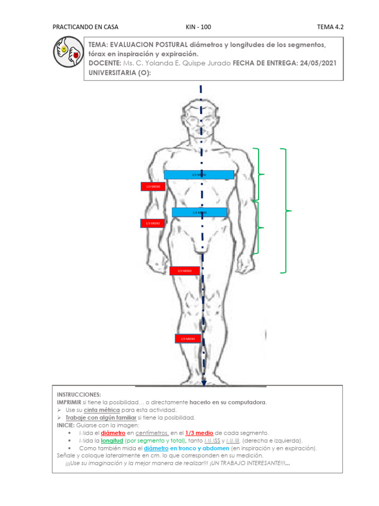 Actividad Practica T4.2 | PDF