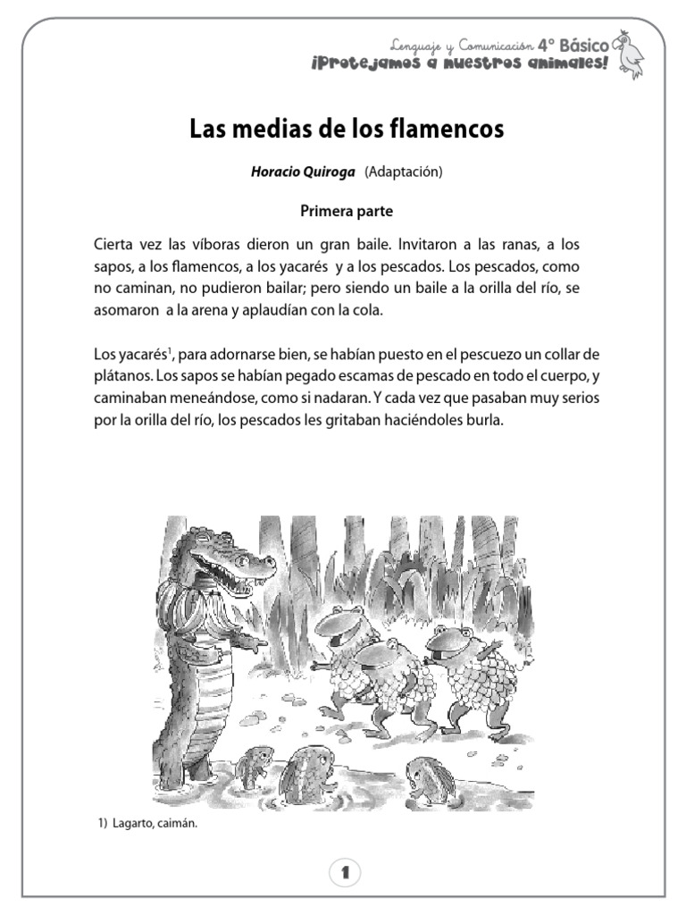 Las Medias de Los Flamencos | PDF