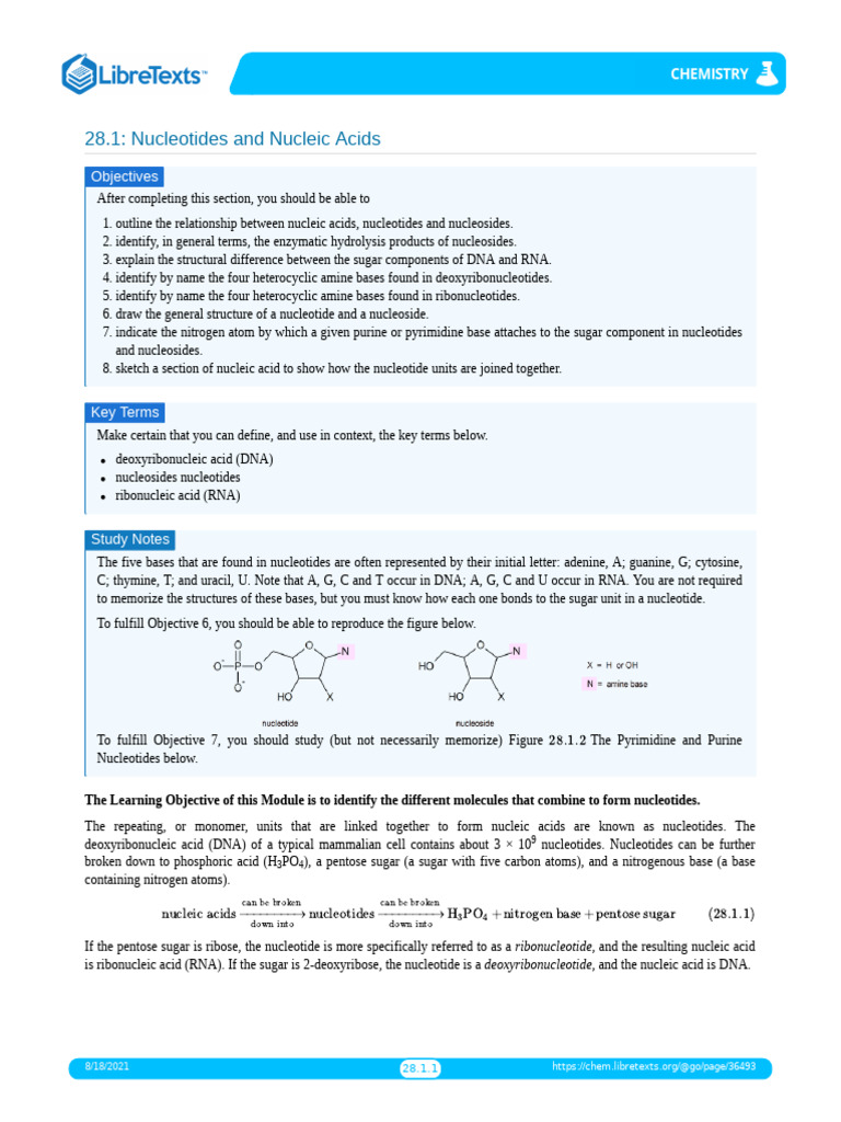 28.01 - Nucleotides and Nucleic Acids | PDF | Nucleotides | Nucleic Acids