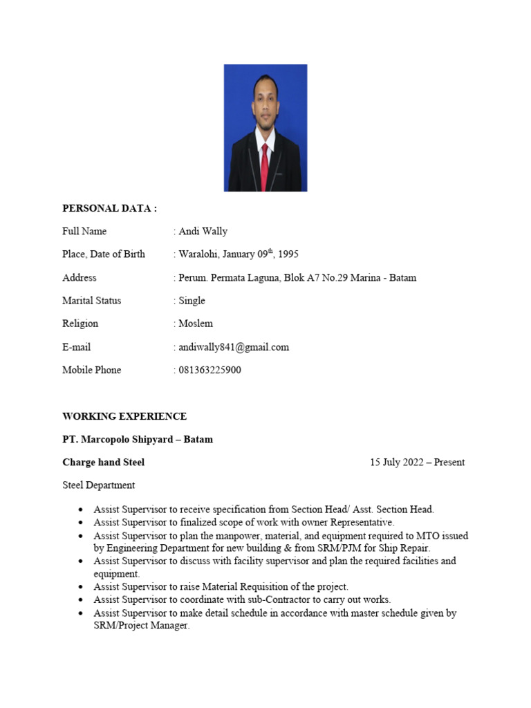 Andi Cv Pdf Engineering