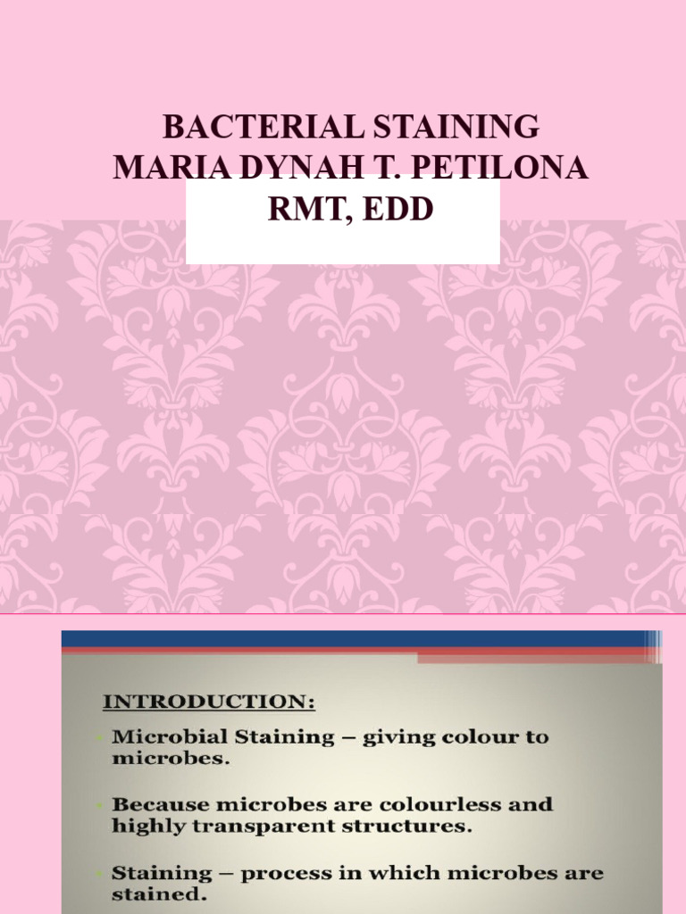 Bacterial Staining | PDF