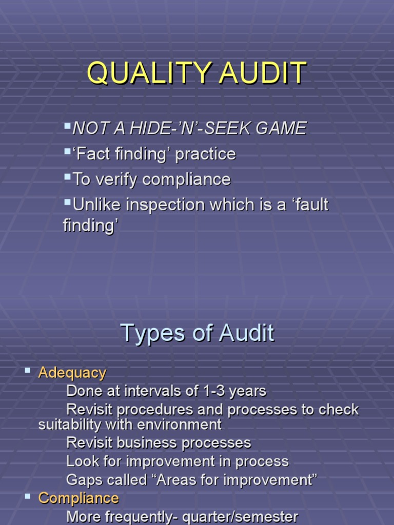 Quality Audit | PDF