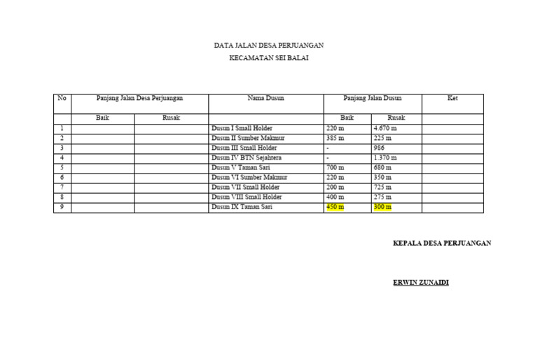 Format DATA JALAN DESA PERJUANGAN | PDF