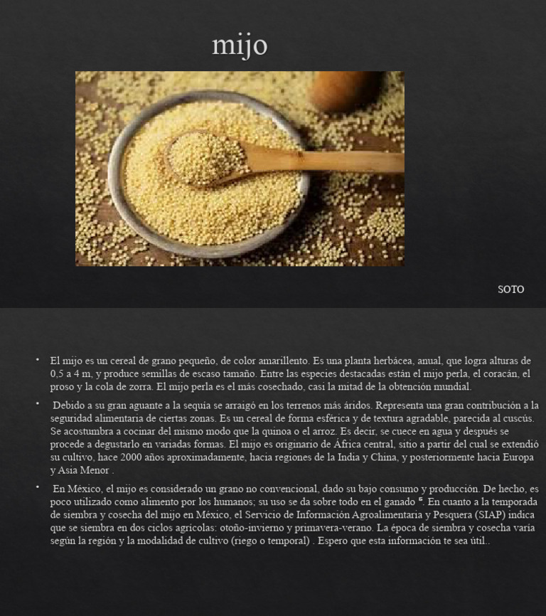 Mijo: Cultivo y Beneficios en México | PDF