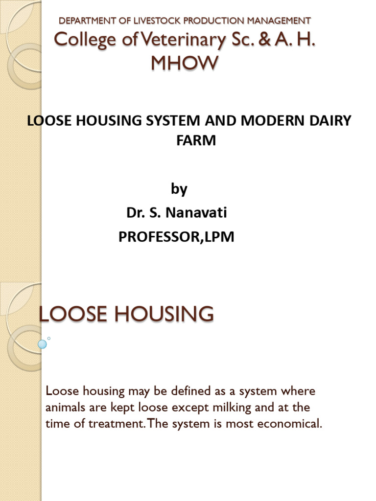 Loose Housing System | PDF | Dairy | Cattle