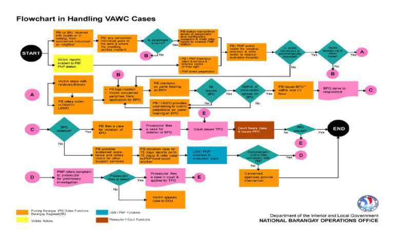 CASE MANAGEMENT | PDF