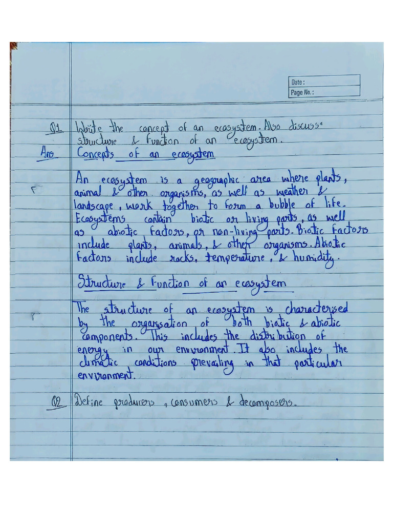 Assignment ans. 3 | PDF