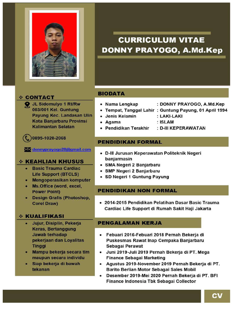 CV Donny | PDF
