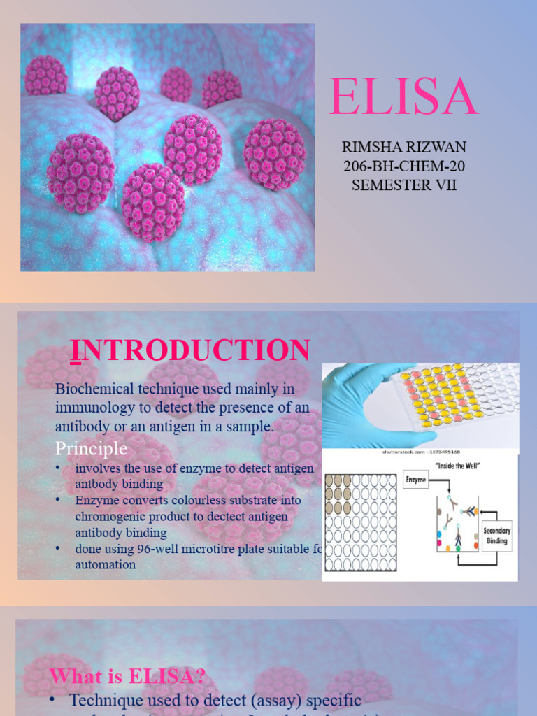 Elisa | PDF