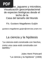 Test de Retención Visual de Benton | PDF | Memoria | Percepción