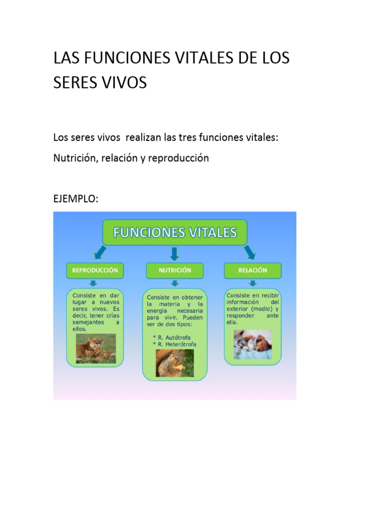 LAS FUNCIONES VITALES DE LOS SERES VIVOS | PDF