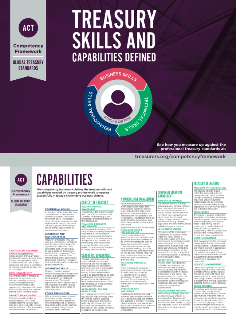 Competency Framework Download FINAL | PDF | Risk | Financial Risk