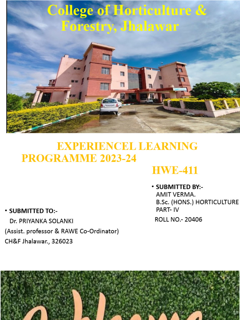 Presentation Amit - pptx01 | PDF | Organic Farming | Agriculture