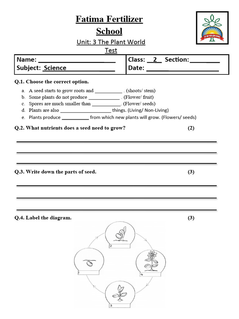 Plant World Class 2 Test Worksheet | PDF | Home & Garden | Science ...