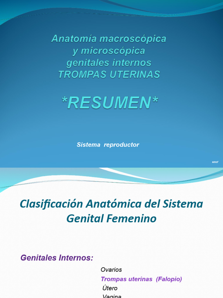 2 Anat Gen Int Fem. Trompas Resumen | PDF | Útero | Anatomía