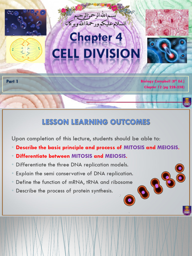 Chapter 4 - Cell Division - Part 1 | PDF | Meiosis | Mitosis
