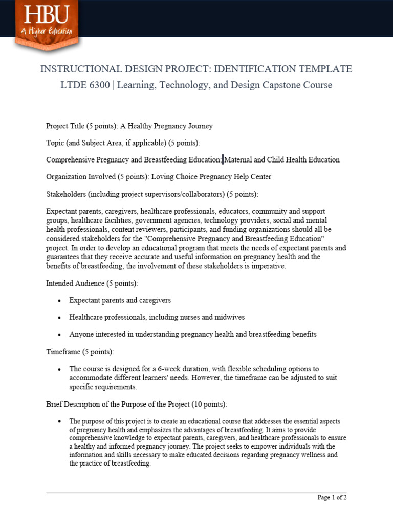 Instructional Design Project Identification Template 281 29 | Pdf 