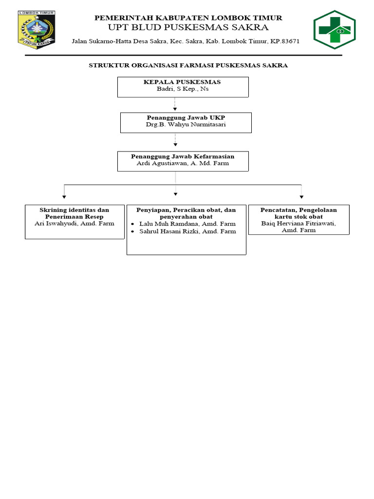 Struktur Organisasi Dan Alur Pelayanan Apotek Pdf