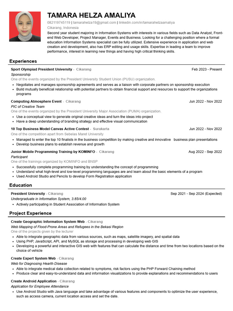 Tamara Helza Amaliya-Resume | PDF | World Wide Web | Internet & Web