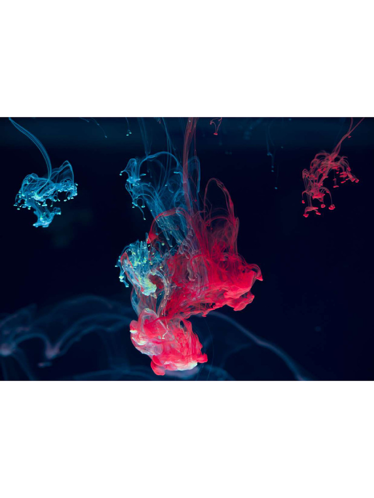 lucas-benjamin-R79qkPYvrcM-unsplash | PDF