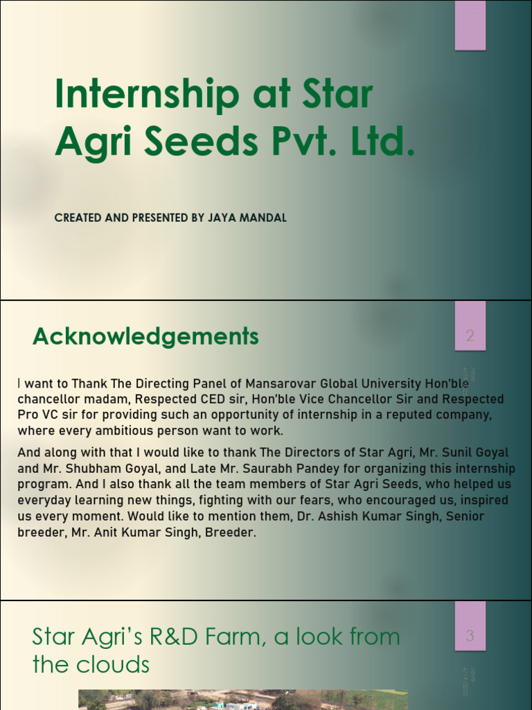 Internship Experience at Star Agri Seeds | PDF | Agriculture | Food Industry