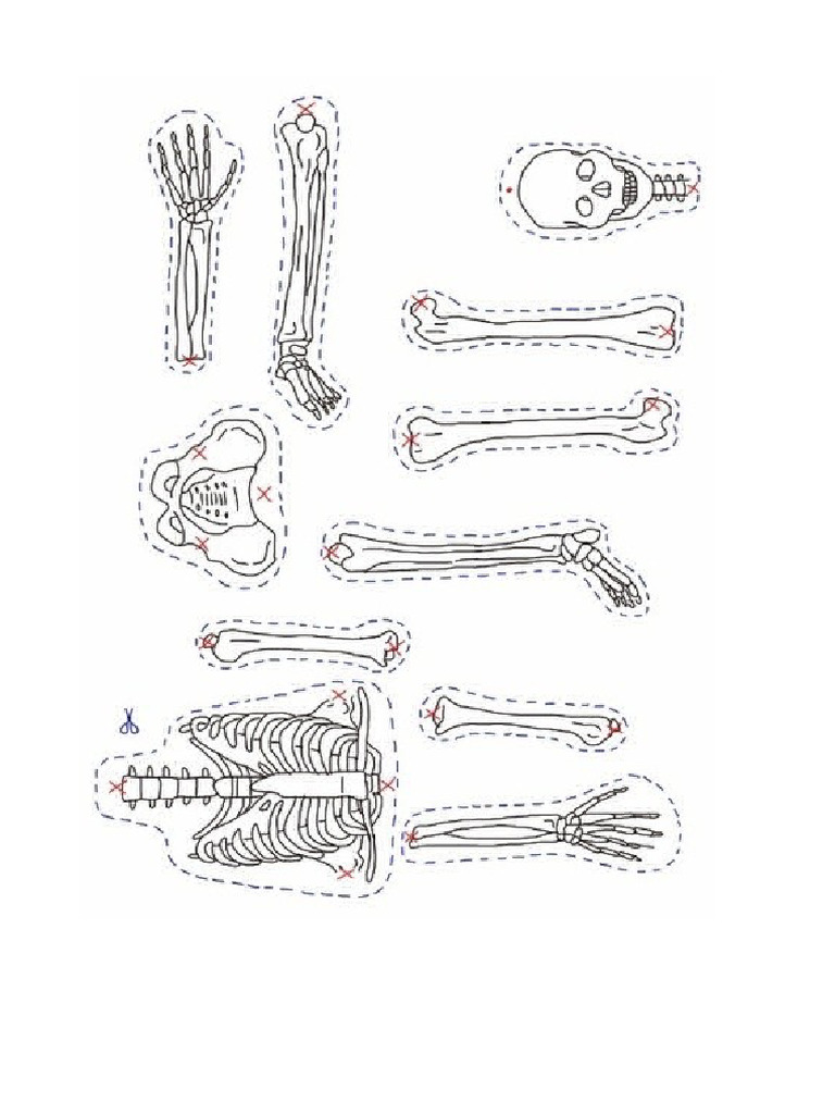 Vježba Kostur PP | PDF | Language Arts & Discipline