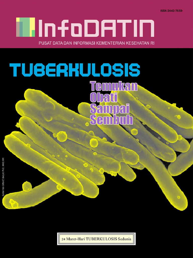 Infodatin-TB-2016 | PDF