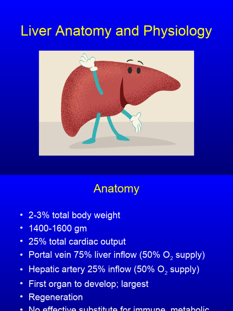 Liver Anatomy and Physiology Overview | PDF | Liver | Medical Specialties