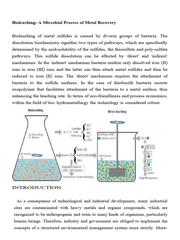 bioleaching | PDF | Sulfide | Redox