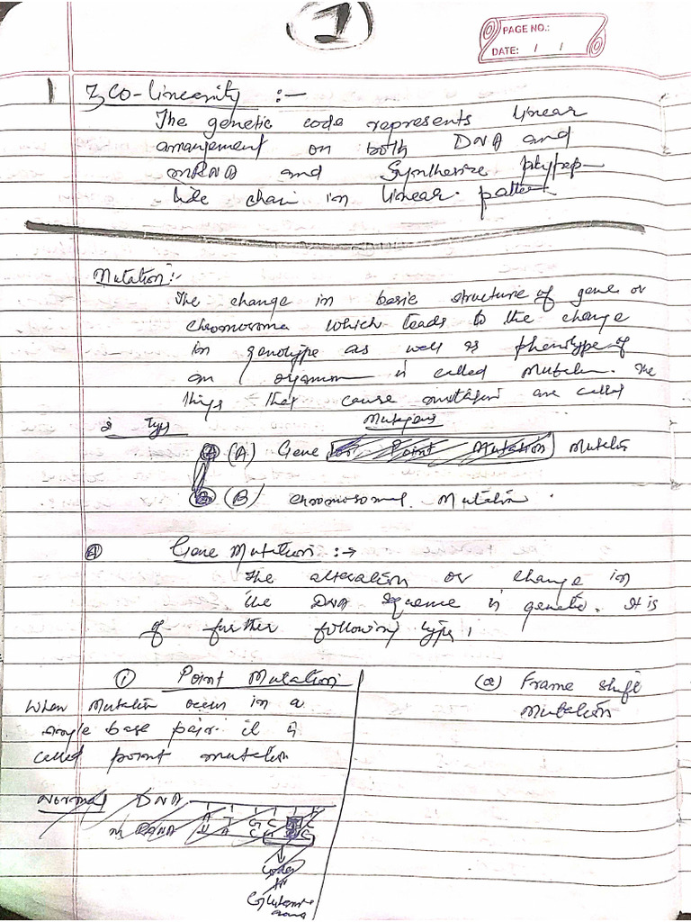 12 Mutation Notes | PDF