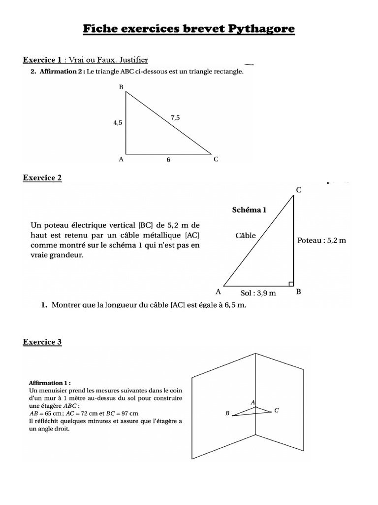 Fiche Exercices Brevet Pythagore | PDF