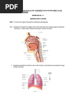 Respiratory System Study Guide | PDF | Exhalation | Respiratory Tract