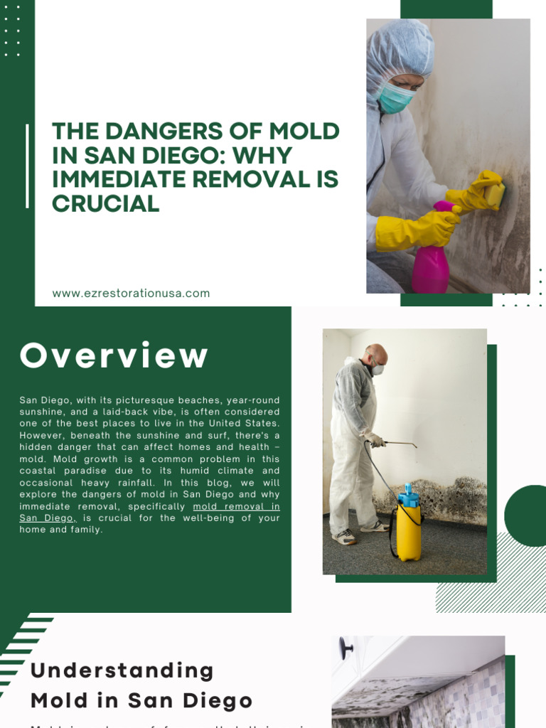 The Dangers of Mold in San Diego Why Immediate Removal Is Crucial | PDF