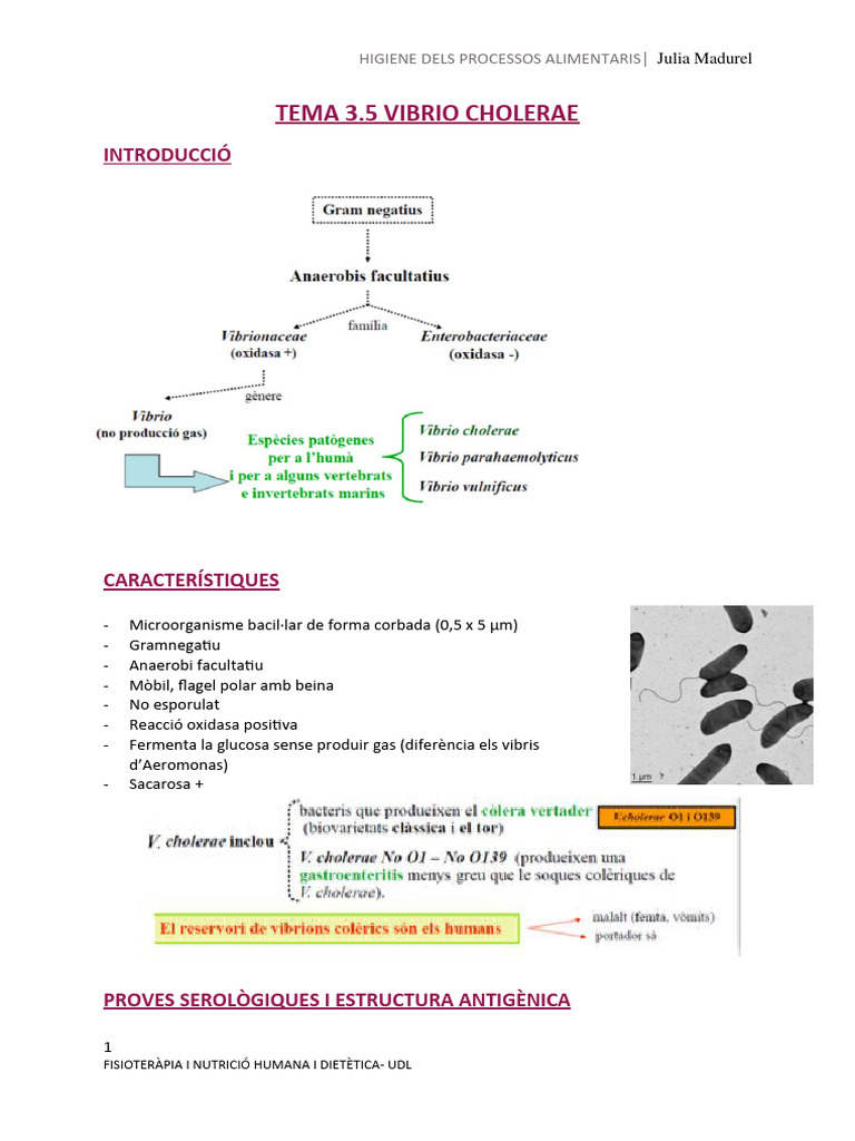Tema 3.5 Vibrio Cholerae | PDF