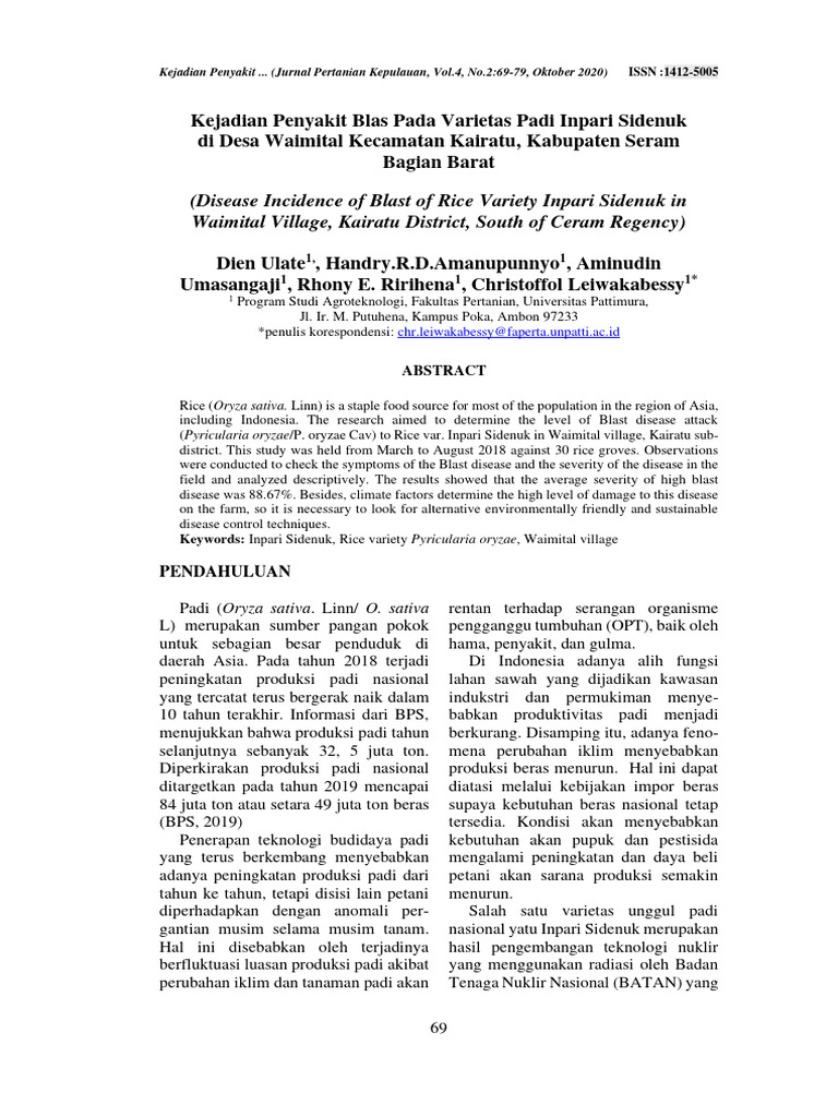 Penyakit Blas pada Padi Inpari | PDF