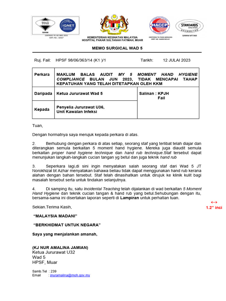 Maklumbalas Audit Hand Hygiene | PDF